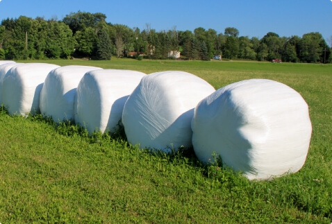 Cotton Packaging | Cotton Bale Packaging | Cady Bag Company